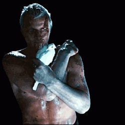 Blade Runner Rutger Hauer Dove
