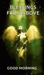 Blessings From Above Angel GIF | GIFDB.com