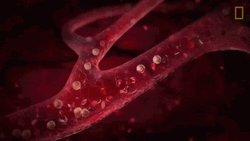 Kretsloppssystem GIFs - Download & Share | GIFDB.com