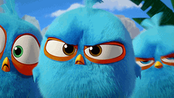 Blue Angry Birds Glaring GIF | GIFDB.com