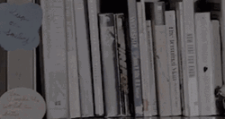 Book Aesthetic Library GIF | GIFDB.com