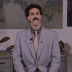 Borat Very Nice Serious Face GIF | GIFDB.com