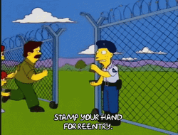 Homer Simpson Border Police Reentry GIF | GIFDB.com