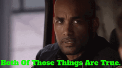 Robert Sullivan Both Things Are True GIF | GIFDB.com