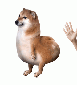 Bouncy Slap Doge Meme GIF | GIFDB.com