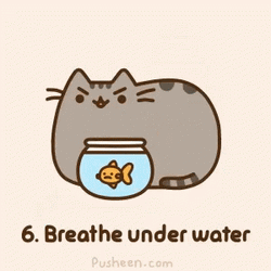 Box Breathing 300 X 300 Gif GIF | GIFDB.com