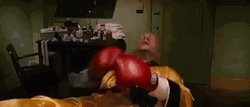 Boxing Bruce Willis Waking Up GIF | GIFDB.com