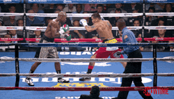 Boxing Knockout Punch Slow Motion GIF | GIFDB.com