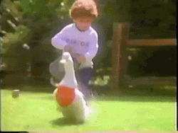 Boy Chasing A Duck To Tease GIF | GIFDB.com