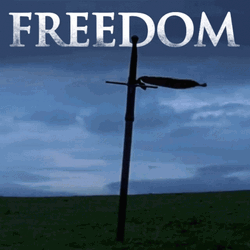 Braveheart Freedom Sword GIF | GIFDB.com