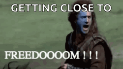 Braveheart Getting Close To Freedom Meme GIF | GIFDB.com