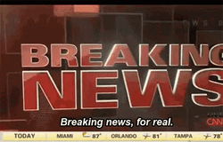 Breaking News You're Cute GIF | GIFDB.com