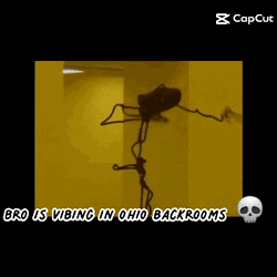 Bro Is Vibing In Ohio Meme Backrooms GIF | GIFDB.com