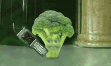 Mice Eating Broccoli Veggie GIF | GIFDB.com