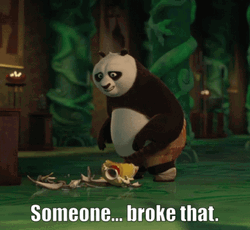 Kung Fu Panda Someone Broke That GIF | GIFDB.com