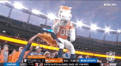 Broncos Mascot Sharing The Vibe GIF | GIFDB.com