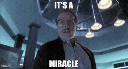 Bruce Willis It's A Miracle GIF | GIFDB.com