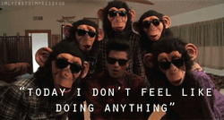 Bruno Mars Monkey Crew Lazy Song GIF | GIFDB.com