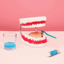 Brushing Teeth Educational Dental Animation GIF | GIFDB.com