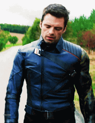Bucky Barnes Winter Soldier Falcon Smile GIF | GIFDB.com