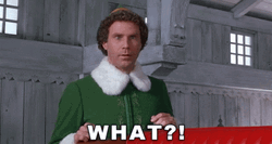 Funny Buddy The Elf What GIF | GIFDB.com
