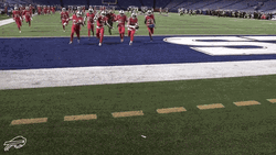 Buffalo Bills GIFs | GIFDB.com
