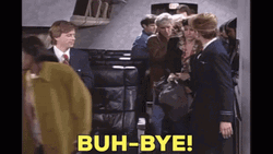 Flight Stewardess Saying Buh Bye GIF | GIFDB.com