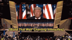 Build The Wall Donald Trump Political Rally GIF | GIFDB.com