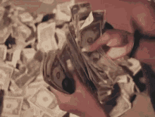 Bunch Of Money Money Money Counting GIF | GIFDB.com