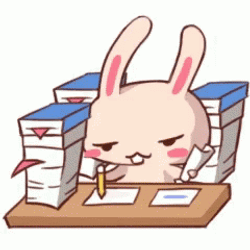 Bunny Busy Homework While Raising Eyebrows GIF | GIFDB.com