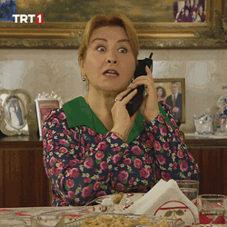 Busy Monday Gossiper Mom Talking On Phone GIF | GIFDB.com