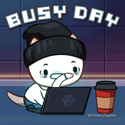 Busy Monday Hysterical Cat Laptop Typing GIF | GIFDB.com