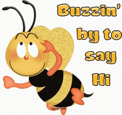 Buzzing By Just To Say Hi GIF | GIFDB.com