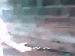 Bwahaha Sarcastic Laugh Funny Meme GIF | GIFDB.com