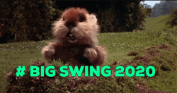Caddy Shack Grooving Gopher GIF | GIFDB.com