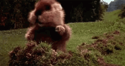 Caddyshack Gopher 1980 Movie Dirt Dance GIF | GIFDB.com