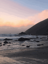 California Bay Area GIF | GIFDB.com