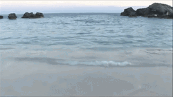 Calm Blue Wave On The Shore GIF | GIFDB.com