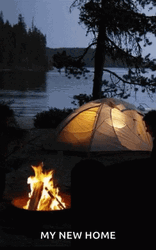 Cozy Lake Camping New Home GIF | GIFDB.com
