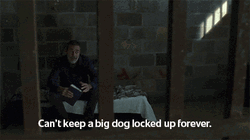 Can't Keep Big Dog Locked Up Forever GIF | GIFDB.com
