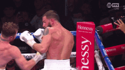 Canelo Álvarez Knockout Power GIF | GIFDB.com