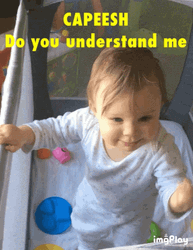 Capeesh Do You Understand Me GIF | GIFDB.com