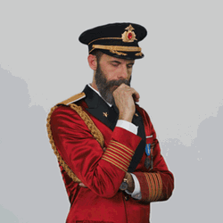 Captain Obvious Disappointed GIF | GIFDB.com