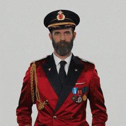 Captain Obvious Saying No GIF | GIFDB.com