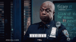 Captain Ray Holt Mhm GIF | GIFDB.com