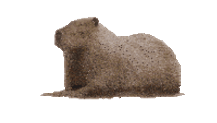 Capybara Sticker GIF | GIFDB.com
