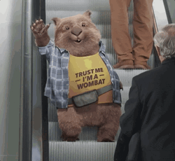 Carl Bear Gets Down Stairs Slips GIF | GIFDB.com