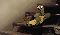 Cartoon Turtle Falling Down The Stairs GIF | GIFDB.com