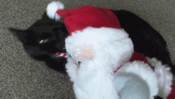 Cat Biting Santa Claus Candy Toy GIF | GIFDB.com