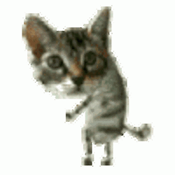 Cat Breakdancing Shaking GIF | GIFDB.com